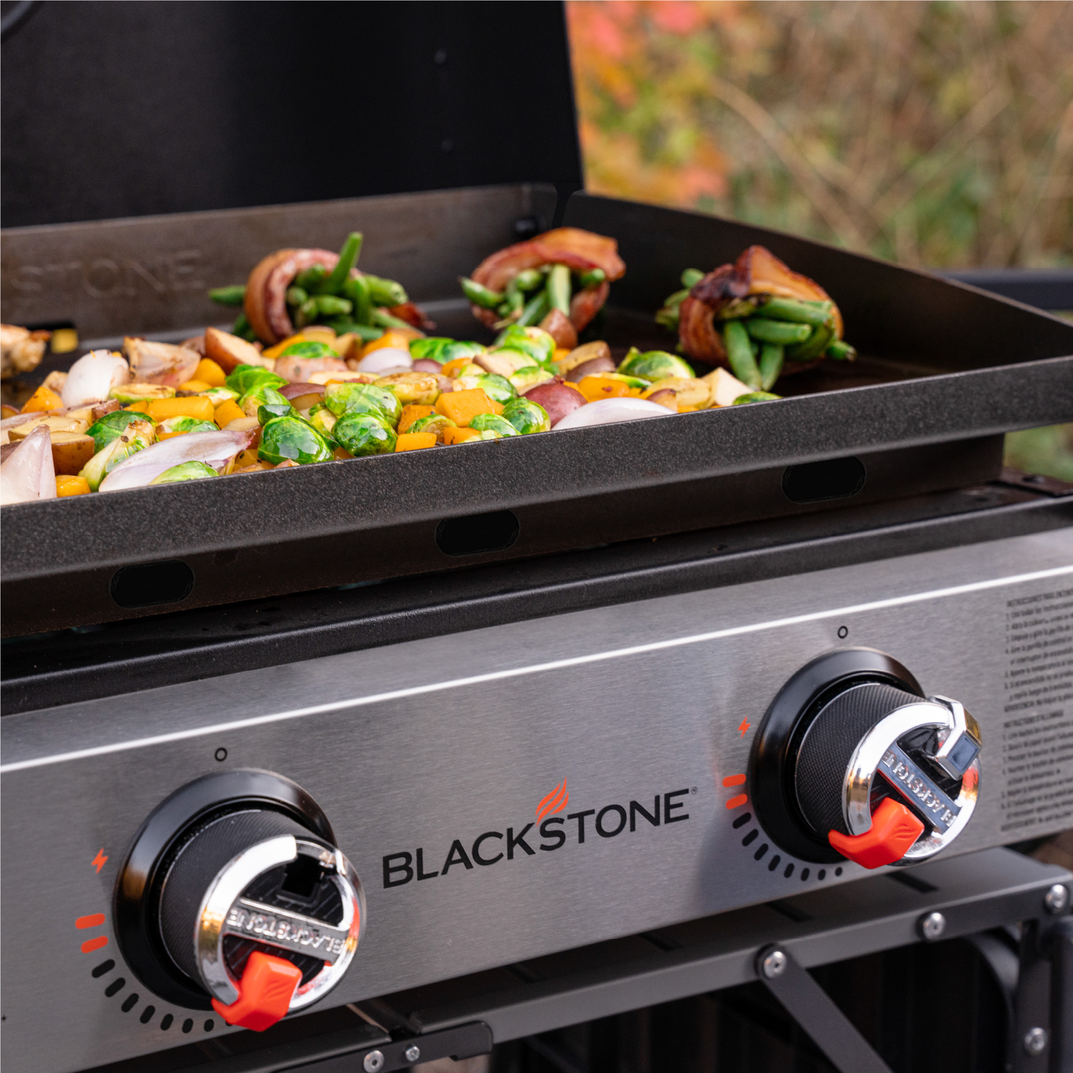Blackstone - 2205 - Original 22In Blackout Omnivore Stainless Front ...
