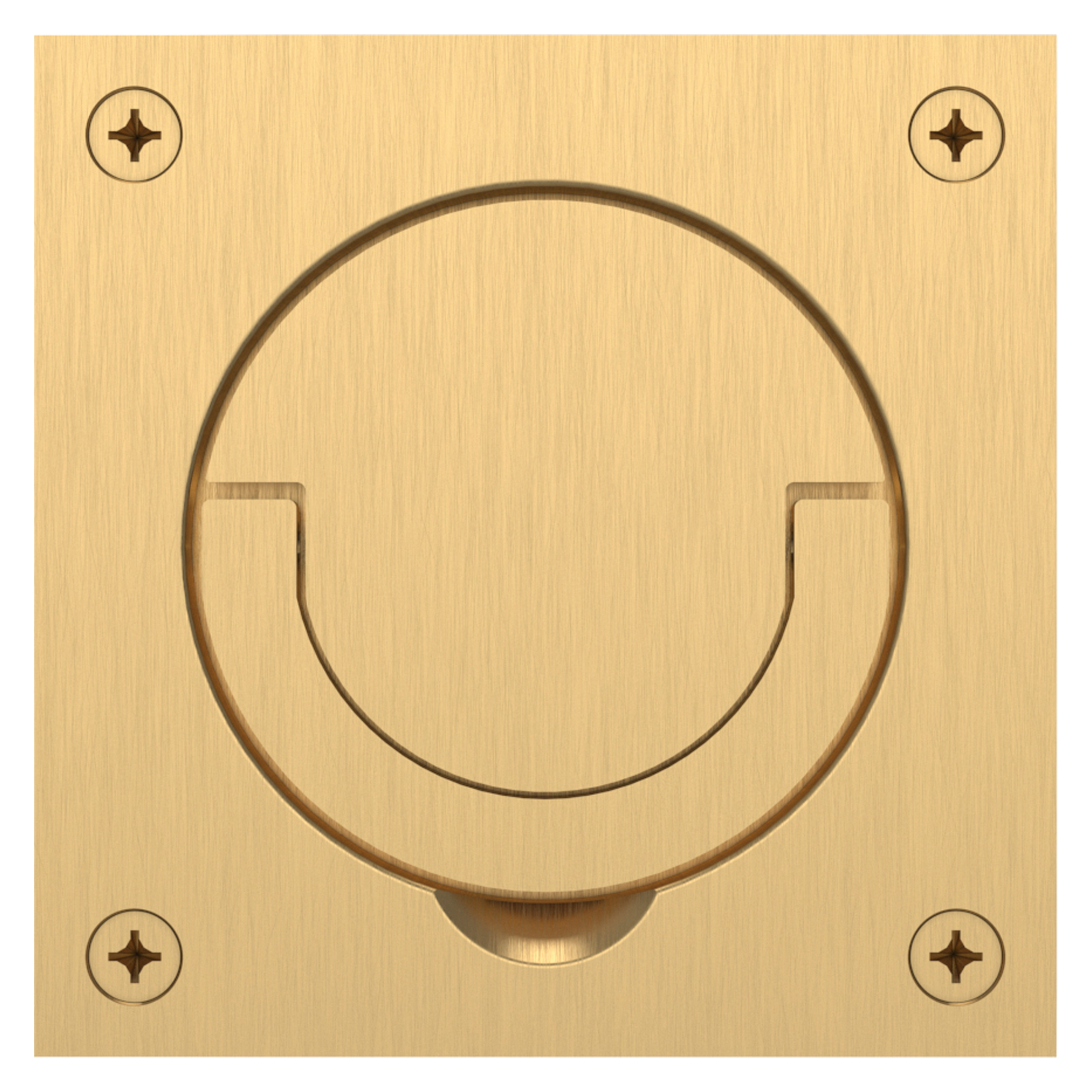 Baldwin - 0397.044 - 0397 Flush Cup Handle & Ring Pull in Lifetime (PVD ...